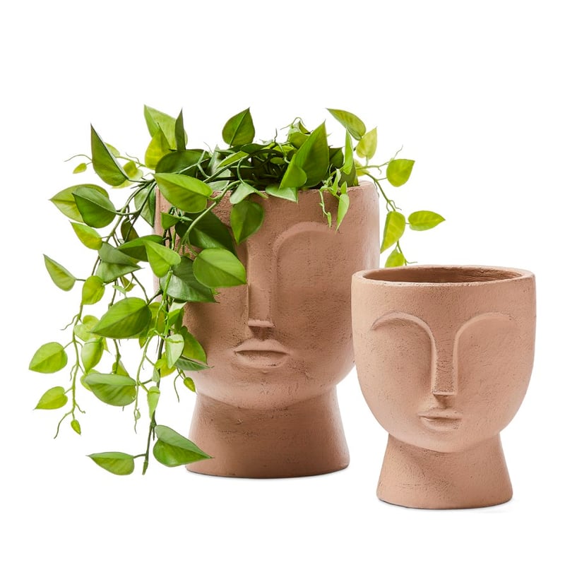 Athena Natural Face Pot | Adairs