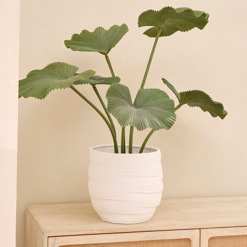 Sway White Short Pot | Adairs