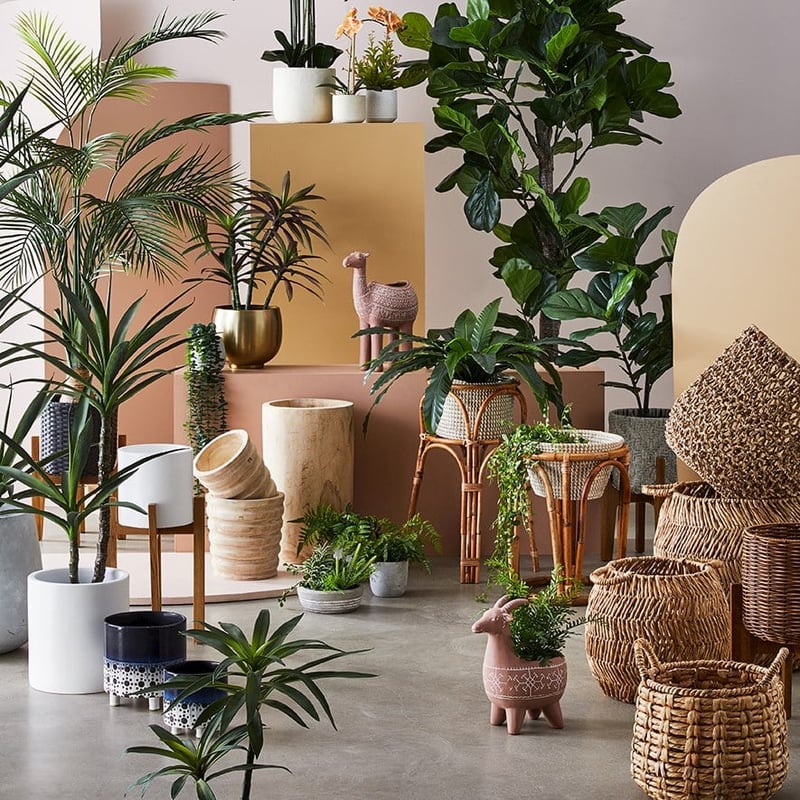 Maya Goat Terracotta Pot | Adairs