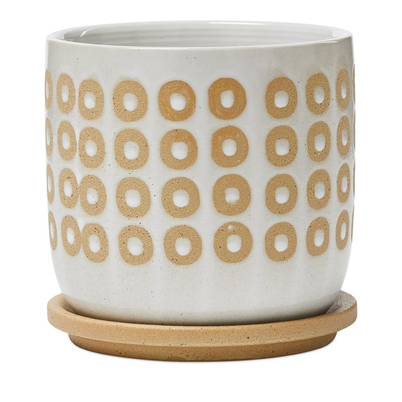 Spot White & Terracotta Tuscan Pot | Adairs