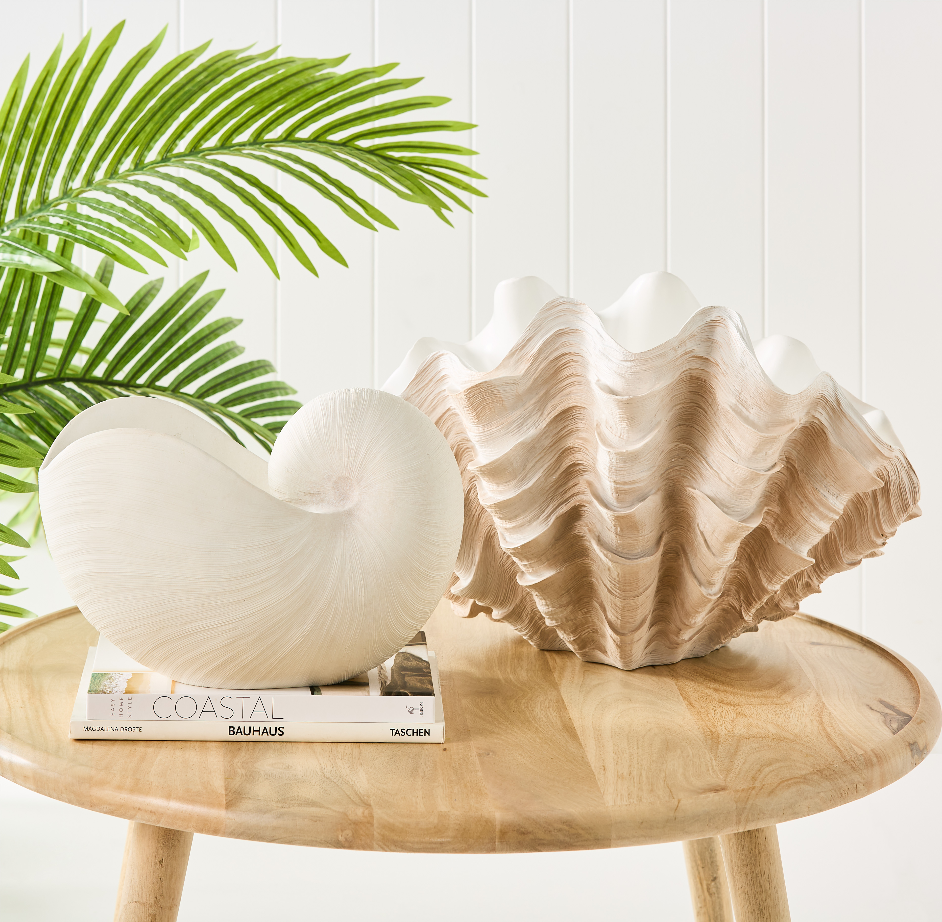 Marine Life Clam Statue | Adairs