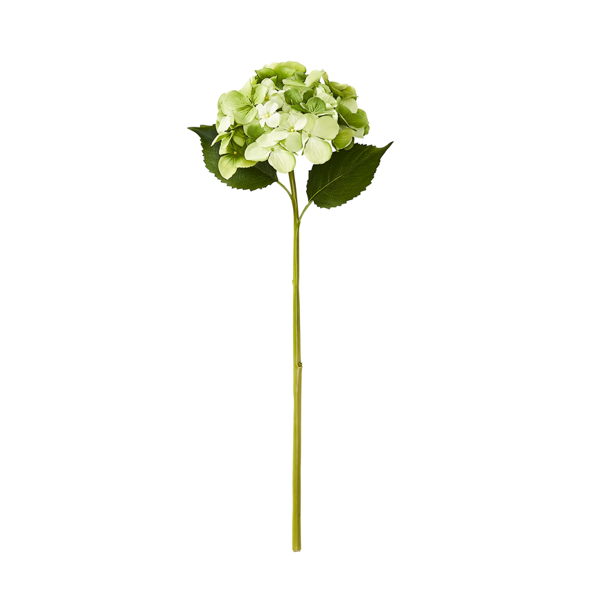 Native Green Hydrangea Stem | Adairs