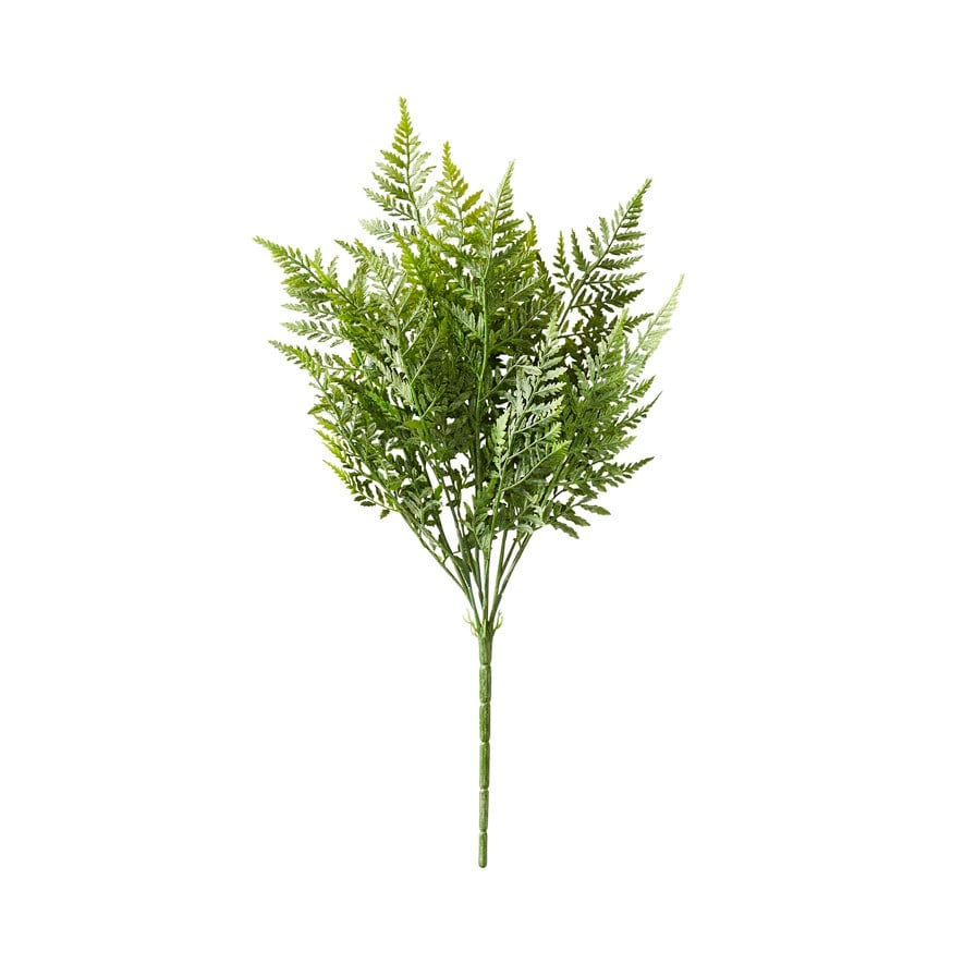 Home Republic - Native Green Eucalyptus Seed Stem | Adairs