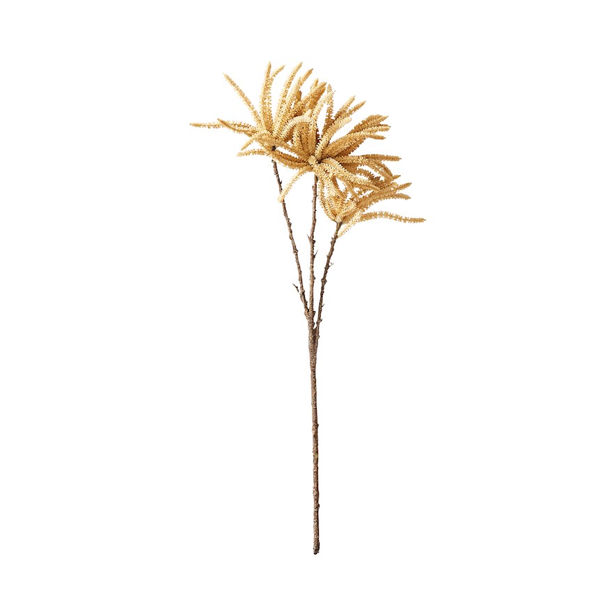 Native Stem Gold Catkin Spray | Adairs