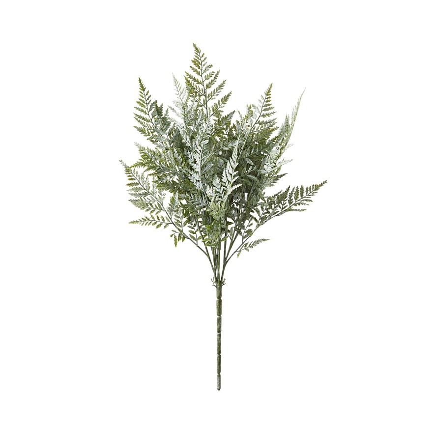 Home Republic - Native Green Eucalyptus Seed Stem | Adairs