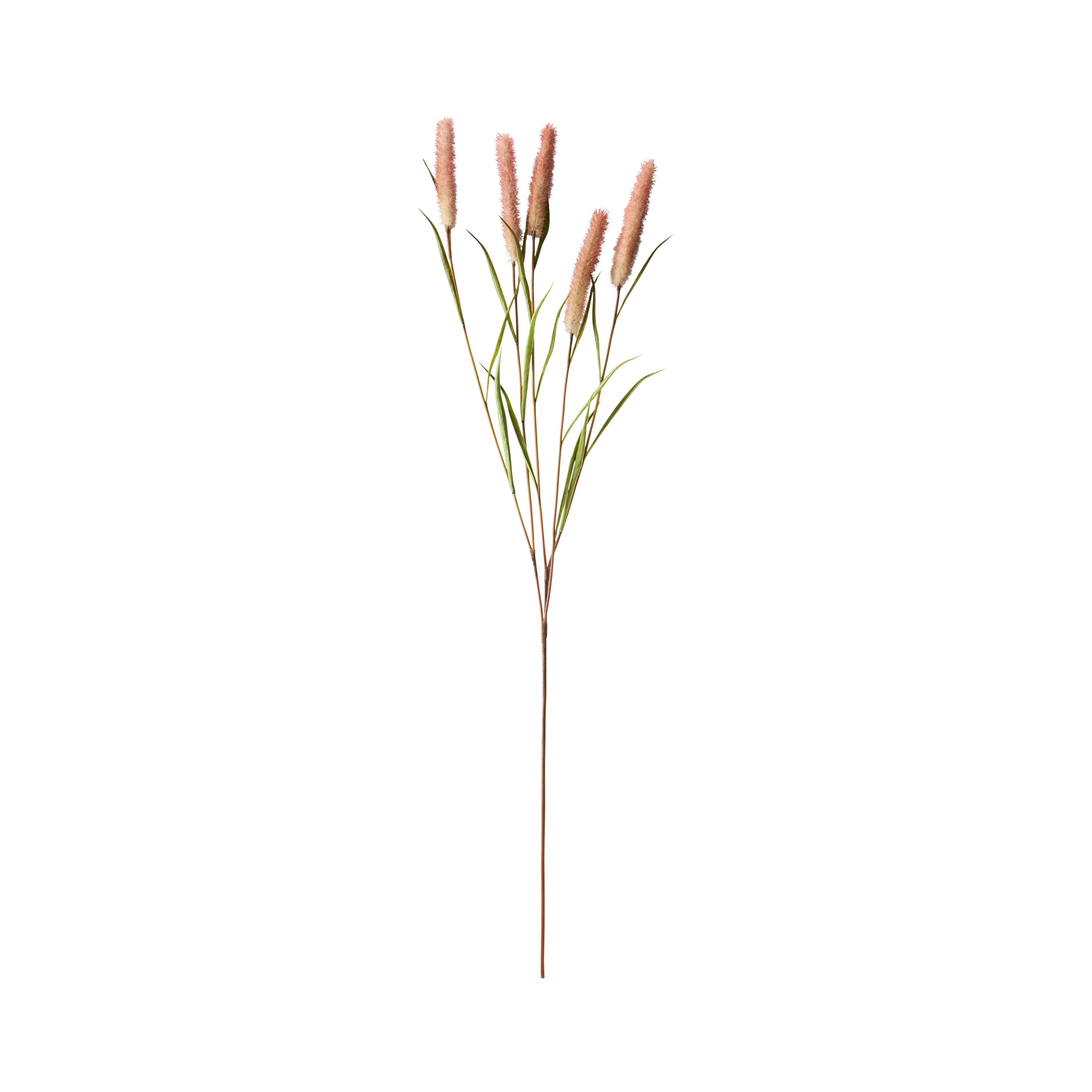 Winter Swinging Grass Rust Stem | Adairs