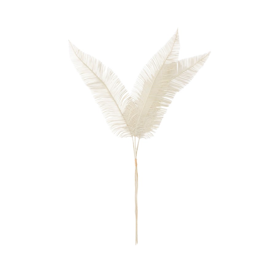 Winter Cream Feather Bunch Stem | Adairs