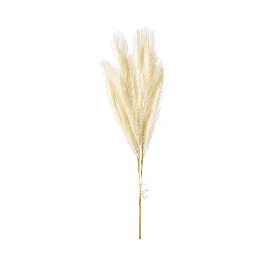 Feather Pampass Cream Grass Stem | Adairs
