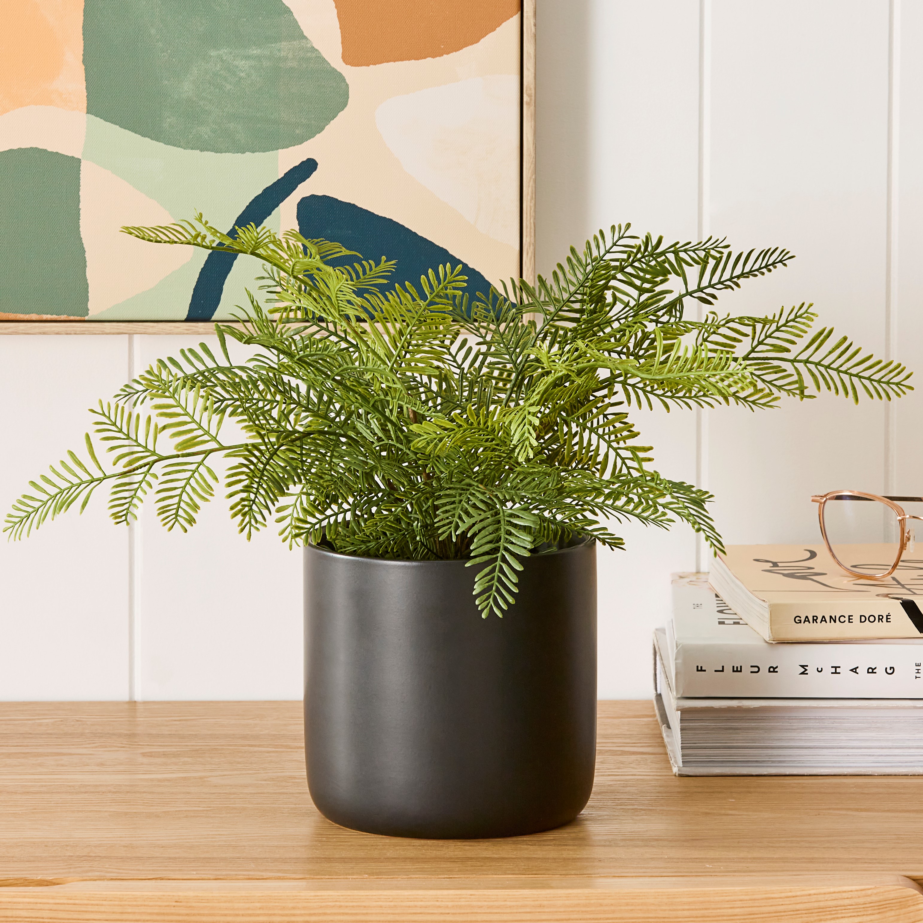 Milton Green & Black Potted Fern | Adairs
