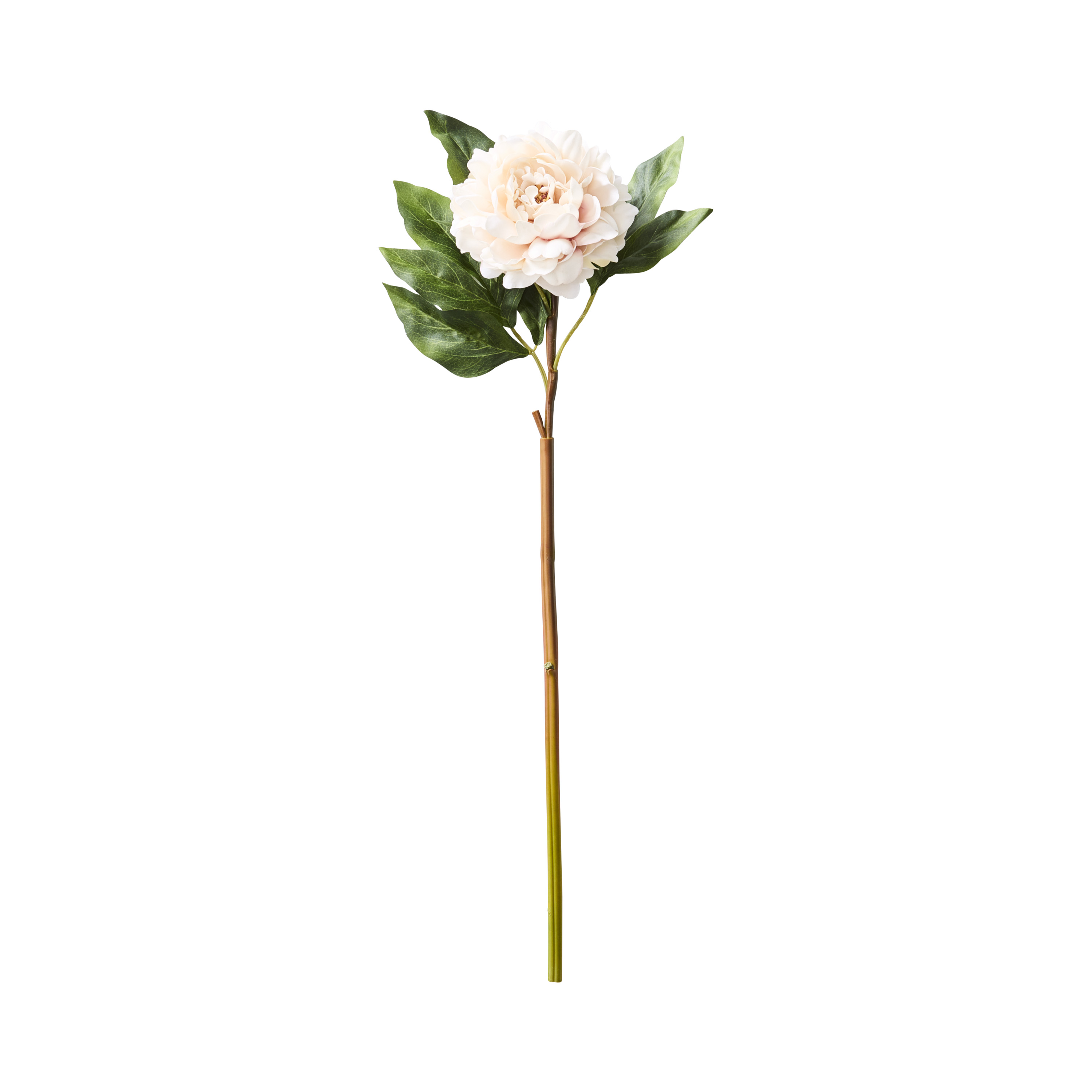 Fleur Stem Peach Peony | Adairs