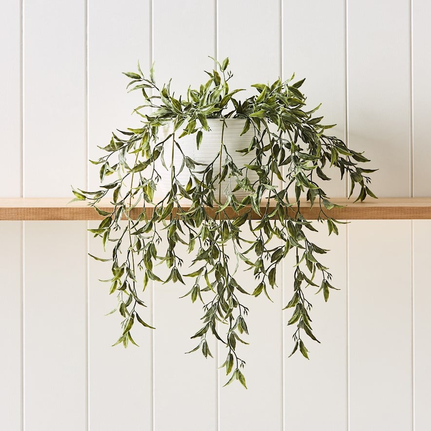 Willow Silver Green Hanging Fern | Adairs