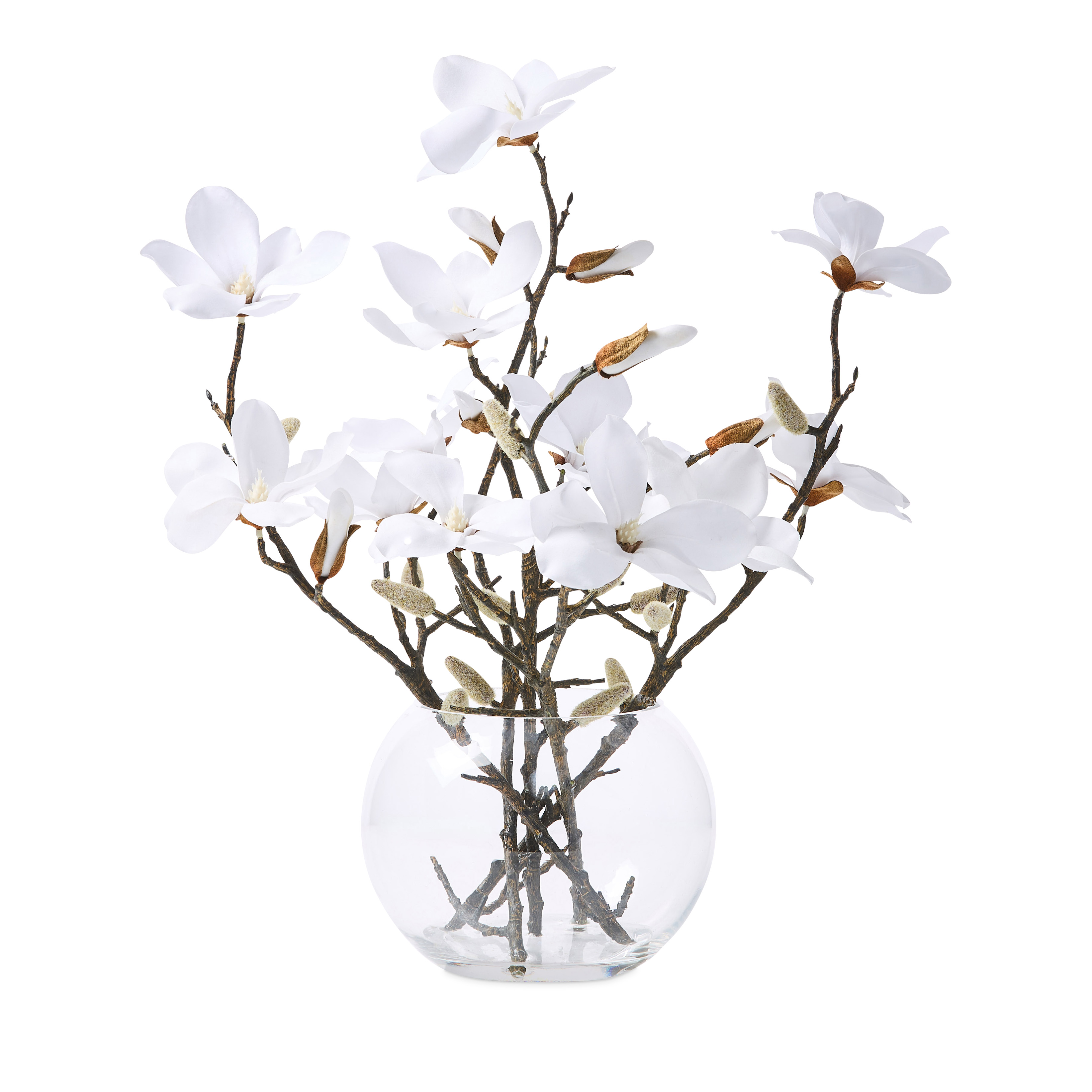 White Magnolia In Vase | Adairs