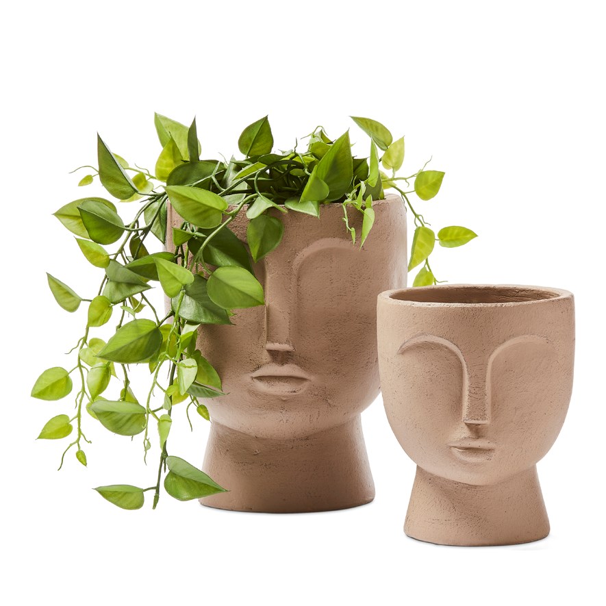 Athena Natural Face Pot | Adairs