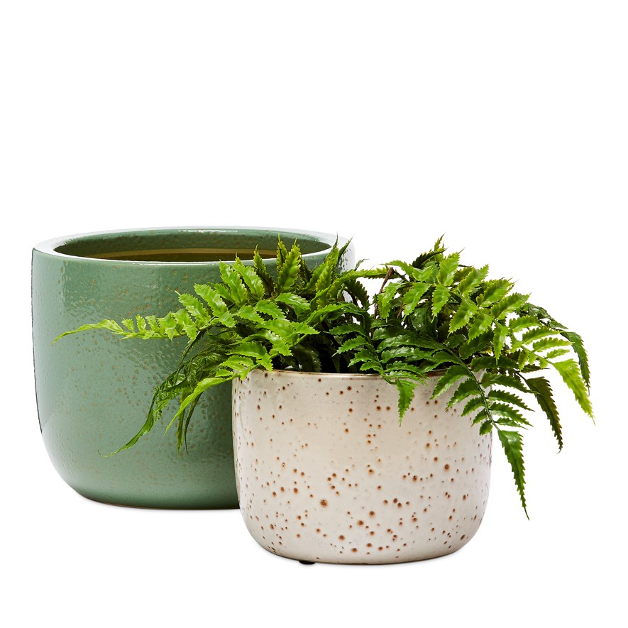 Gilbert White Pot | Adairs