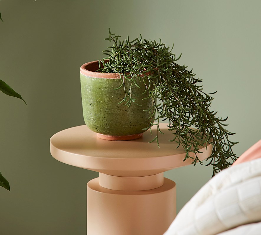 Forest Green Pot | Adairs