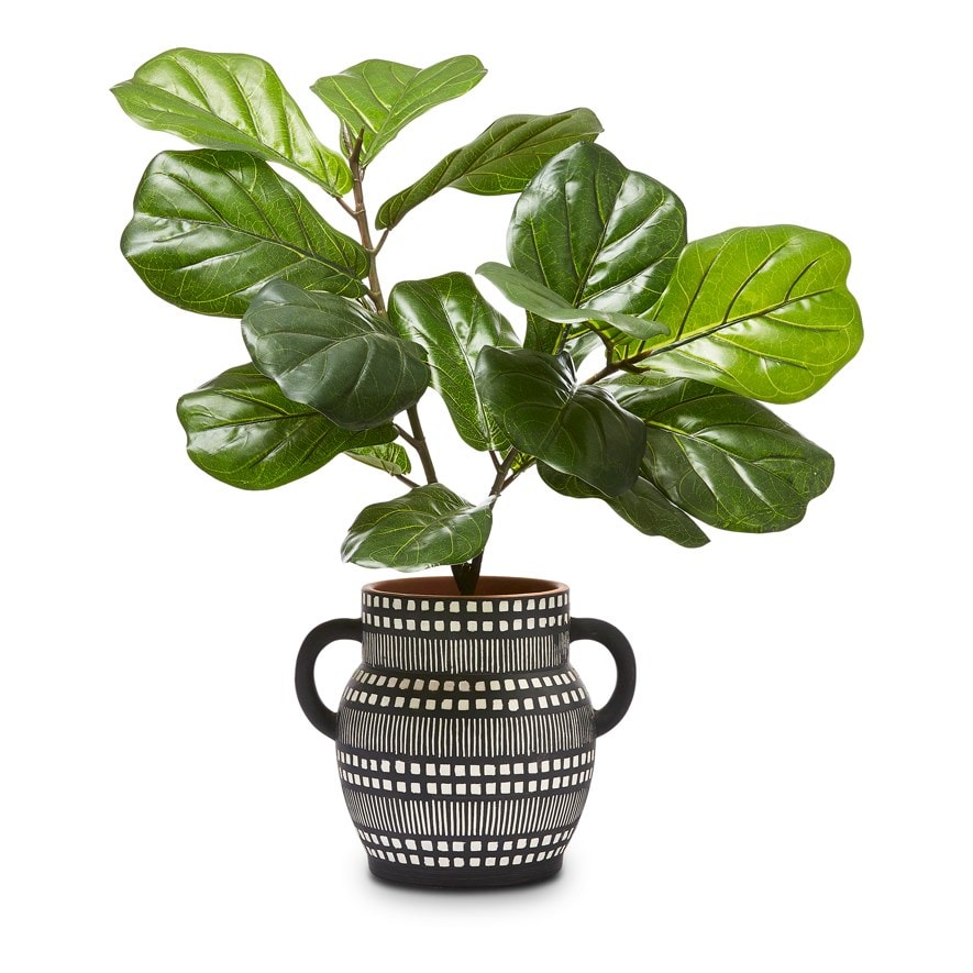 Badu Black & White Pot | Adairs
