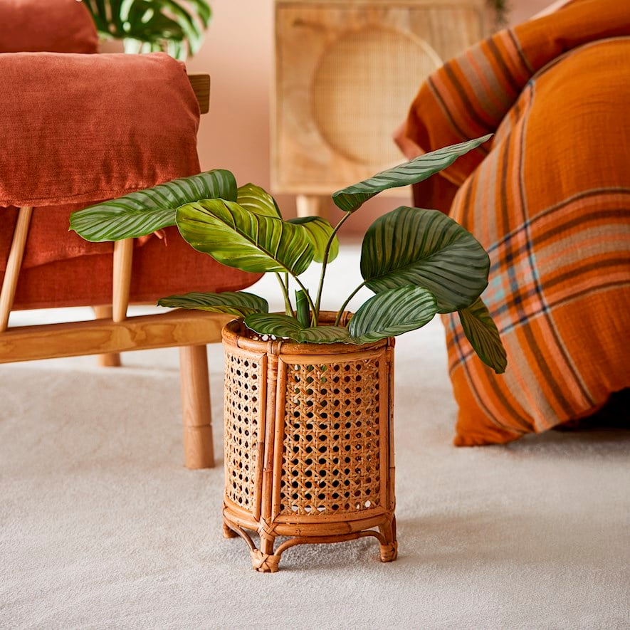 Timaru Natural Plant Stand | Adairs