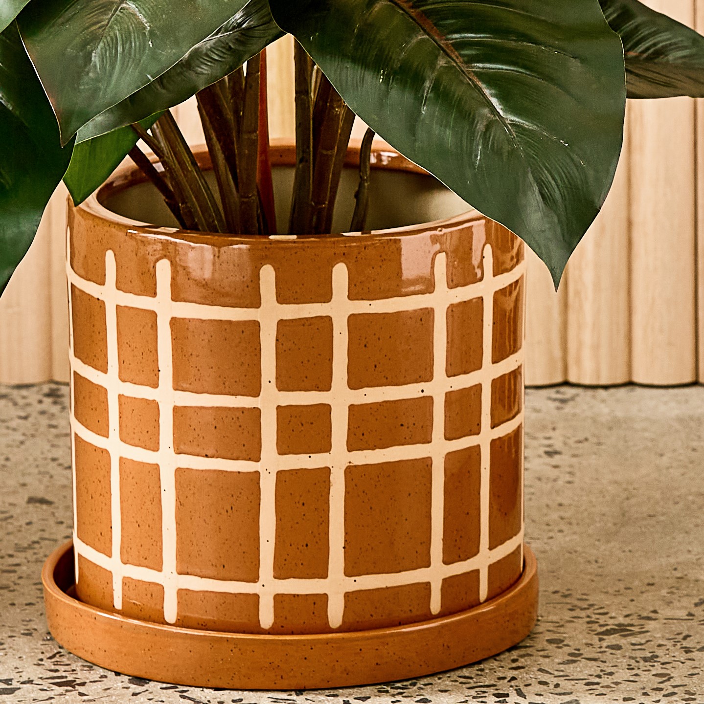 Eden Ginger Pot | Adairs