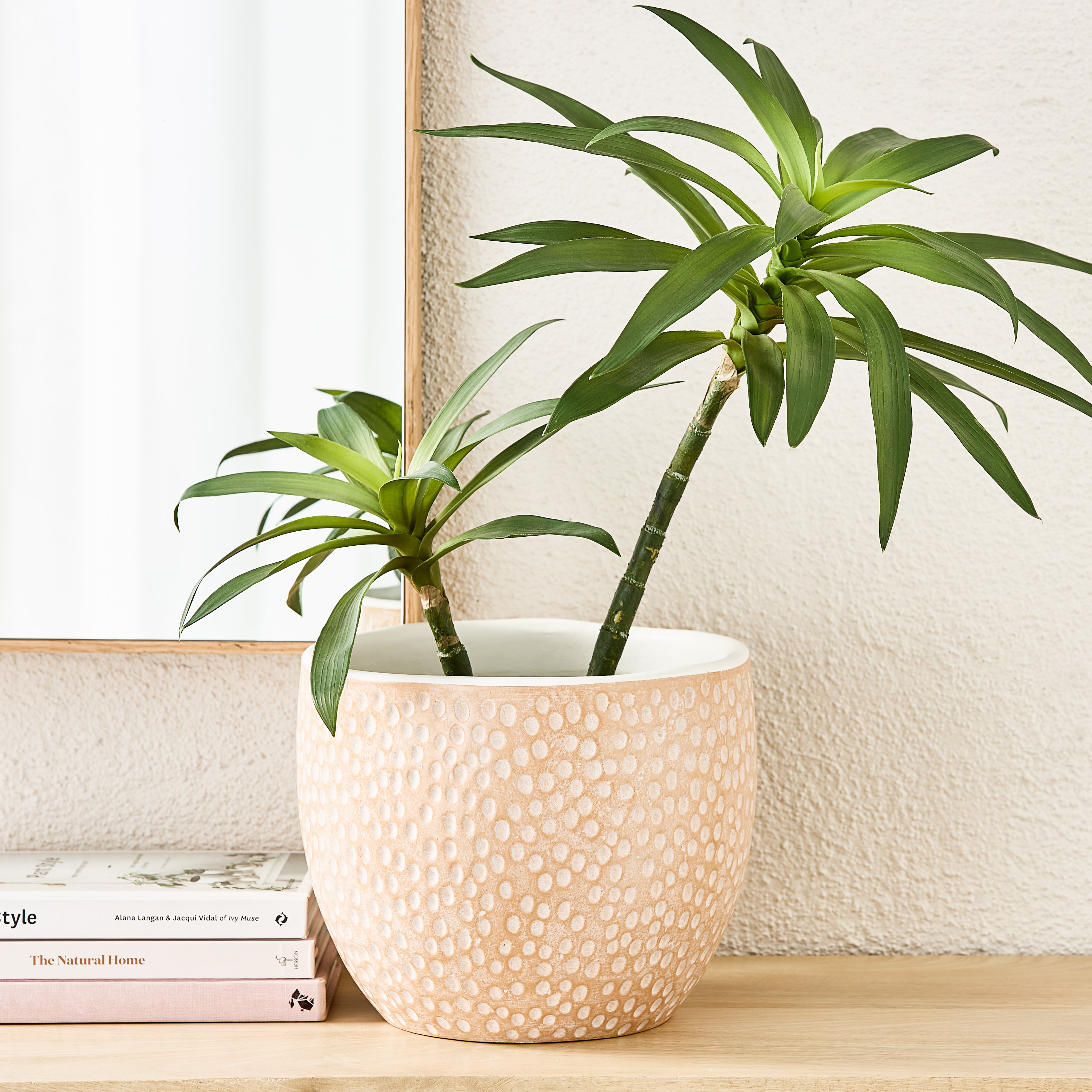 Pompeii Pink Pot | Adairs