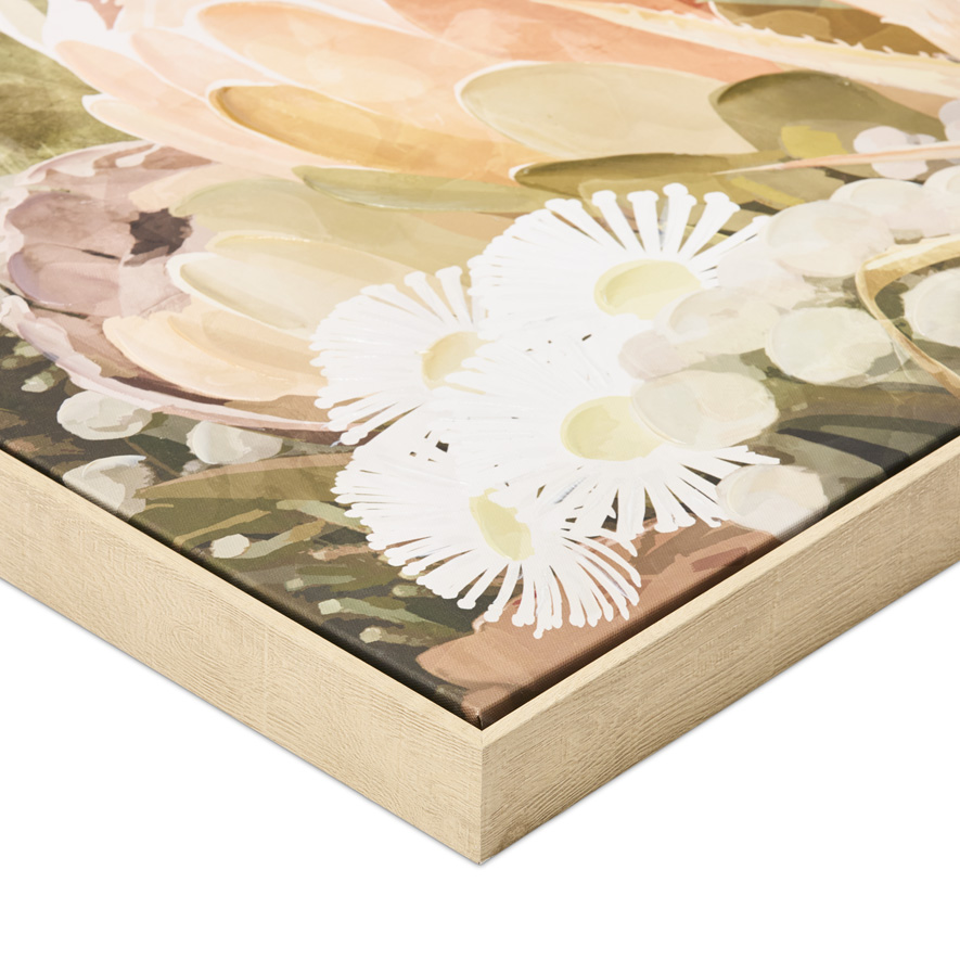 Native Peach Protea Canvas | Adairs