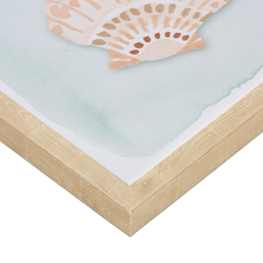 Summer Breeze Fish & Shells Sea Life Canvas | Adairs