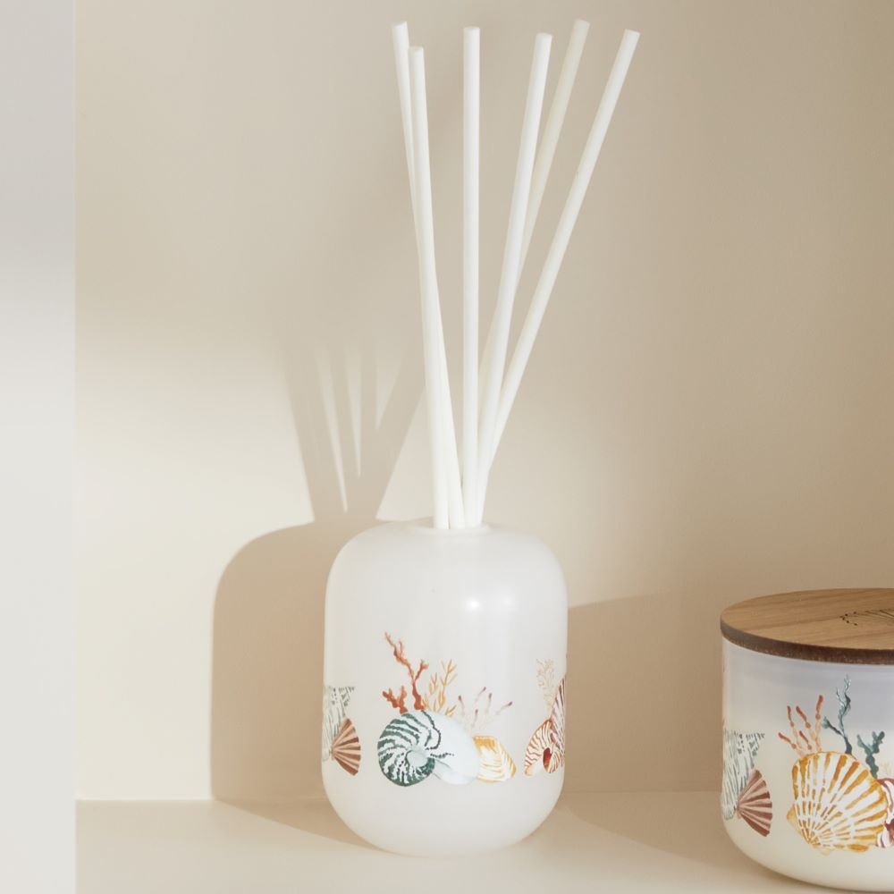 Seashore Coconut Diffuser 200ml | Adairs