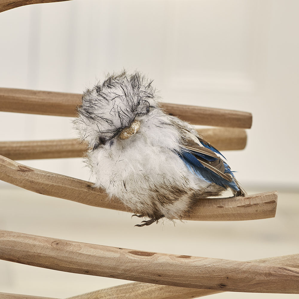 Australiana Feather Bird Kookaburra Tree Topper | Adairs