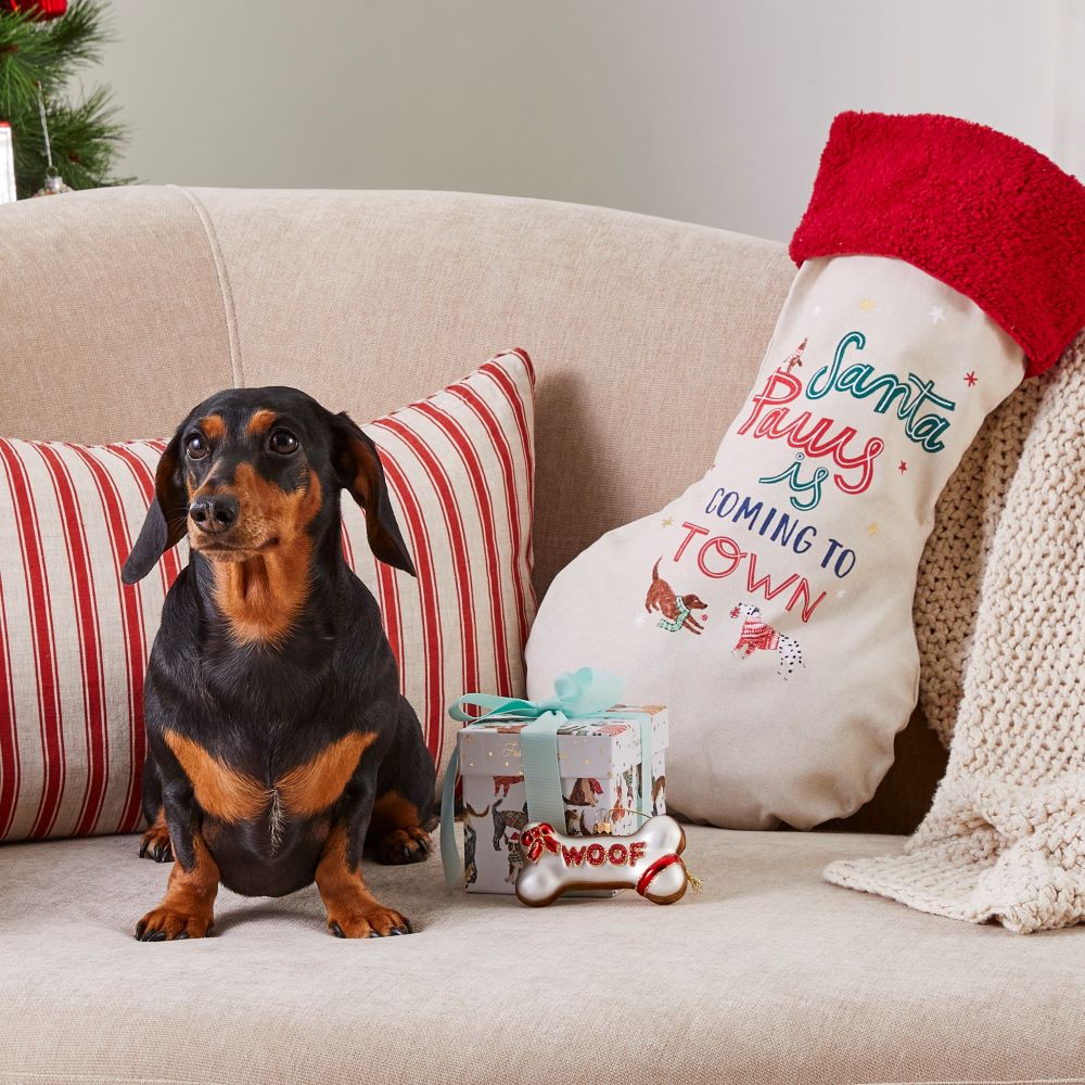 Santa Paws Pet Santa Sack | Adairs Santa Paws Pet Santa Sack | Adairs