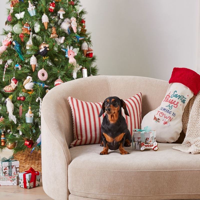 Santa Paws Pet Santa Sack | Adairs Santa Paws Pet Santa Sack | Adairs