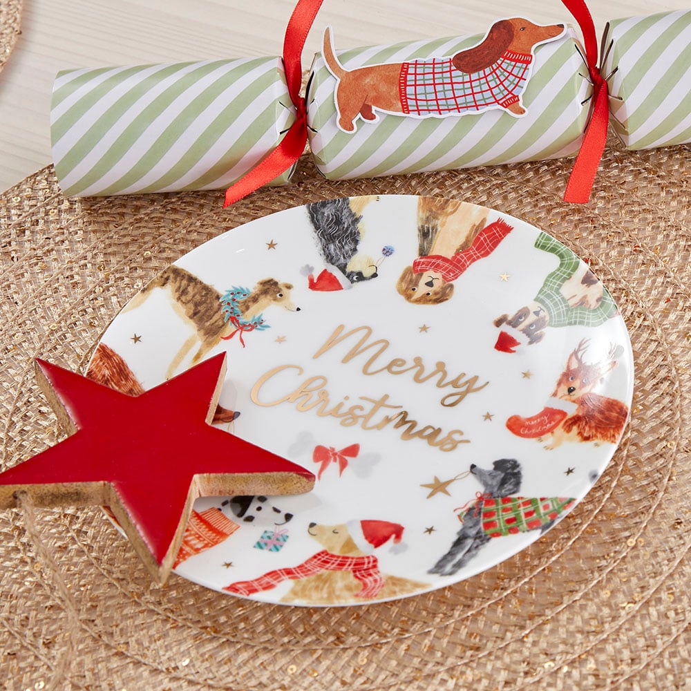 Christmas Multi Festive Dogs Plate | Adairs
