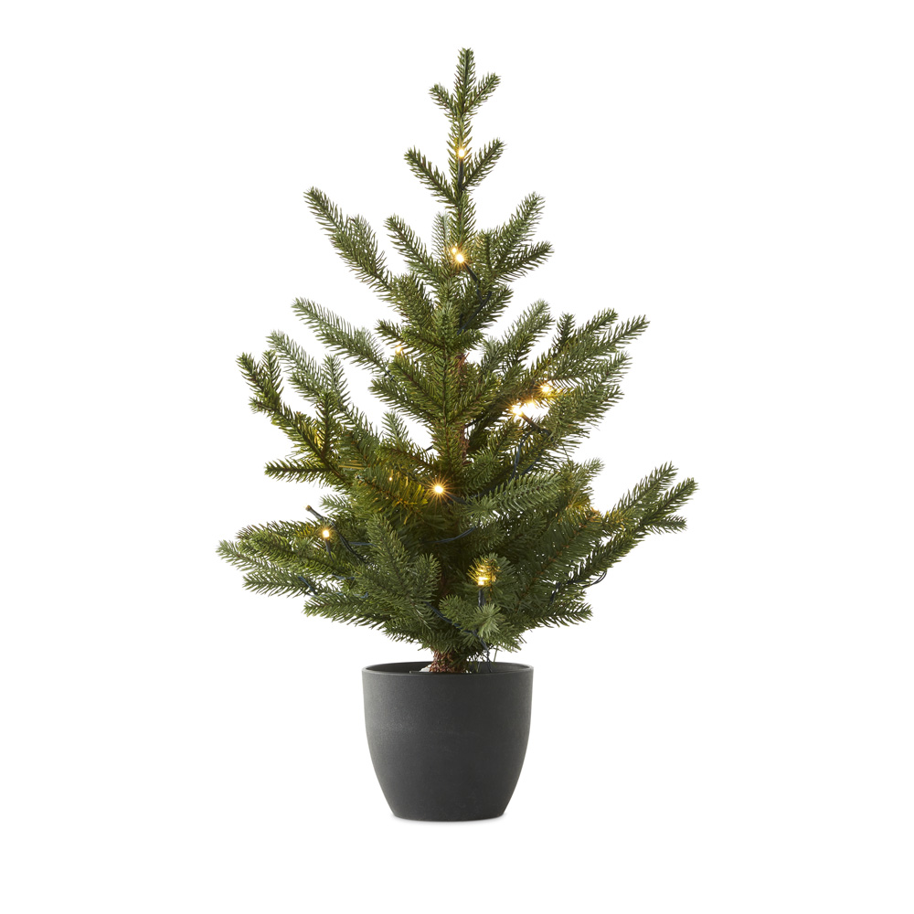 Potted LED Green Christmas Tree | Adairs