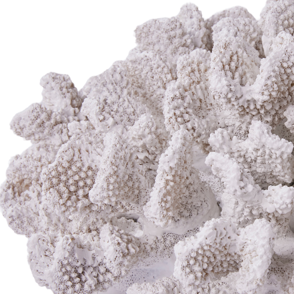 Byron White Coral Statue | Adairs