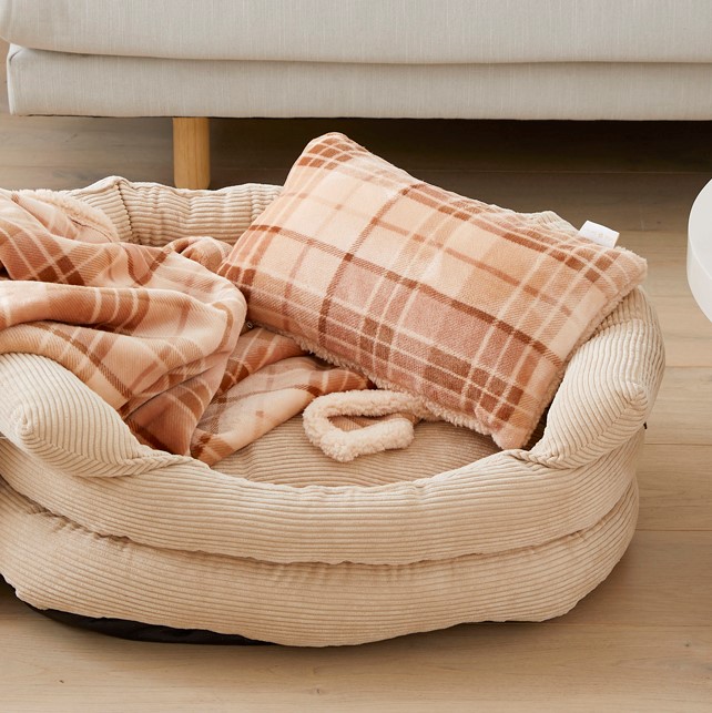 Maisy Biscuit & Forest Check Pet Pillow | Adairs