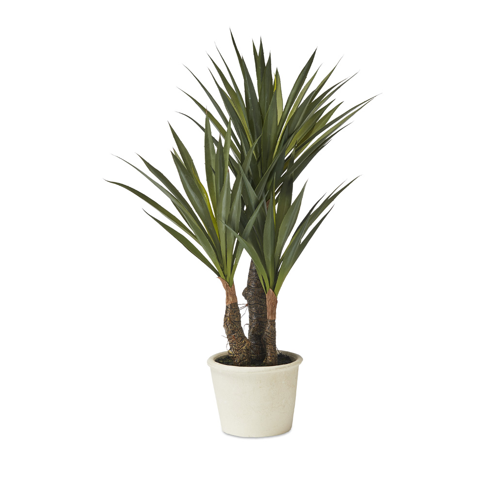 Heneken Potted Plant 53cm | Adairs
