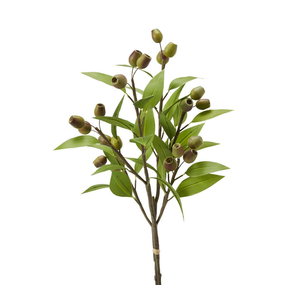 Botanical Green Gum Nuts Stem | Adairs