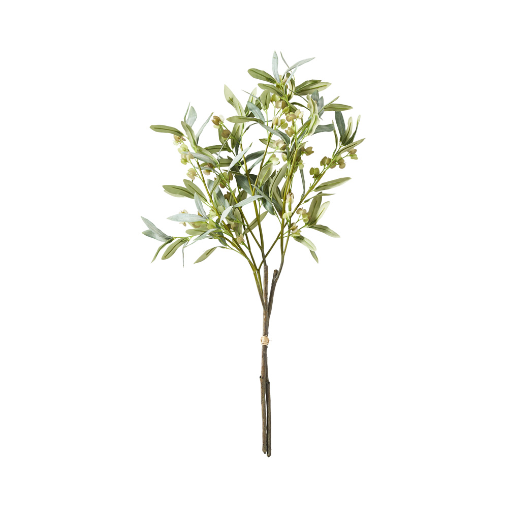 Botanical Green Flowering Olive Bunch Stem | Adairs