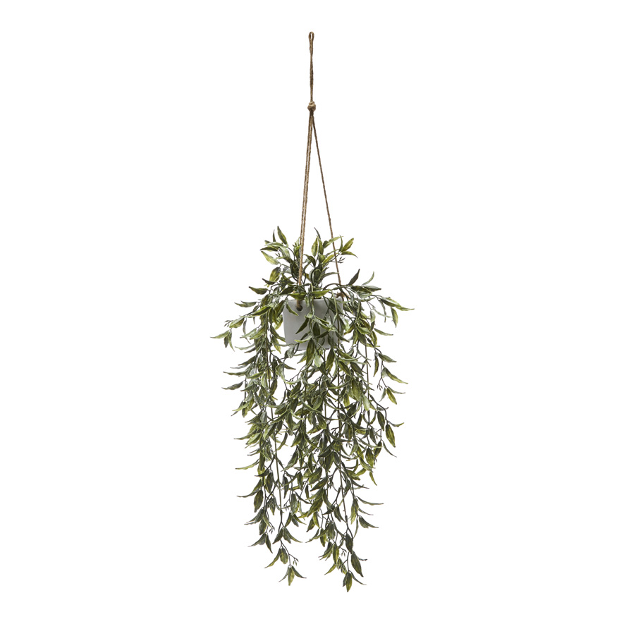 Willow Silver Green Hanging Fern | Adairs