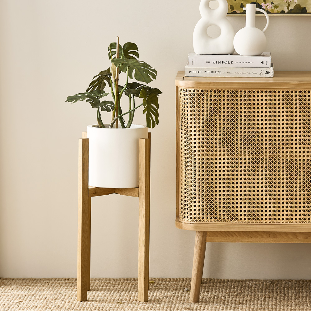 Staked Monstera 50cm | Adairs