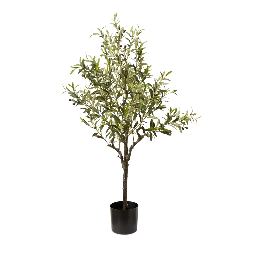 Green Olive Tree 125cm | Adairs