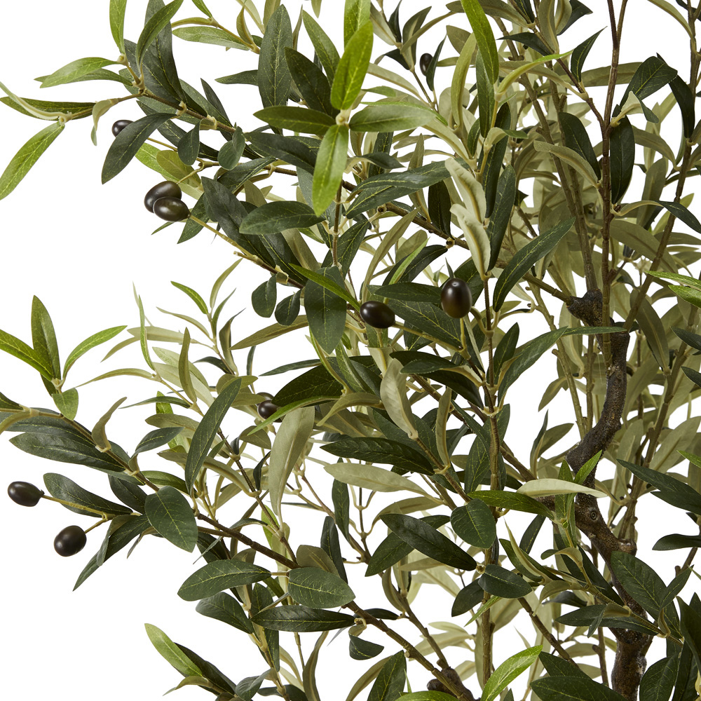 Green Olive Tree 125cm | Adairs