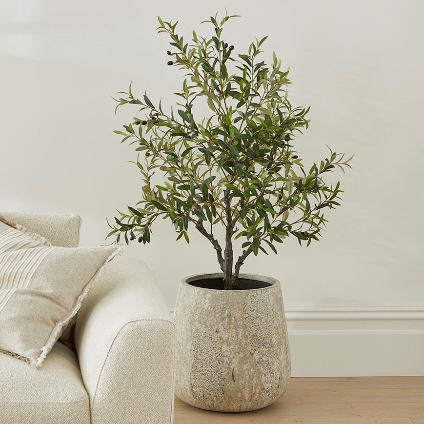 Green Olive Tree 125cm | Adairs