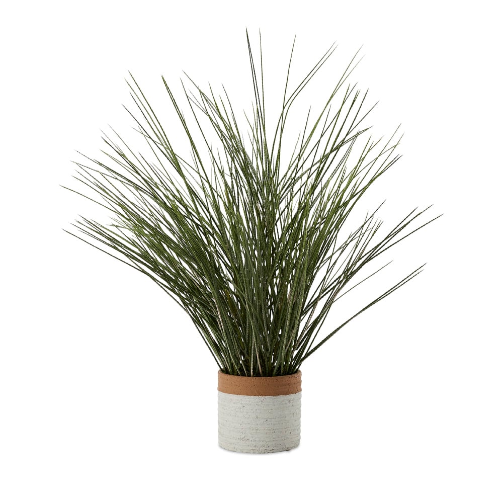 Potted Green Ornamental Grass | Adairs