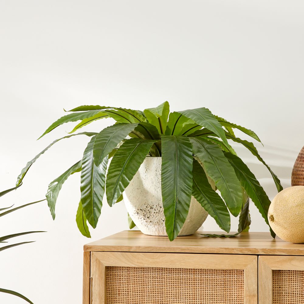 Odyssey Small Rustic White Pot | Adairs