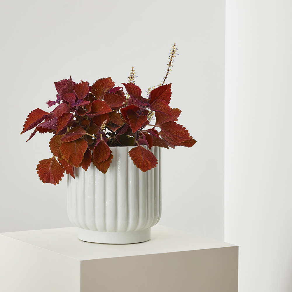 Ribbed Curved Eggshell Blue Pot | Adairs