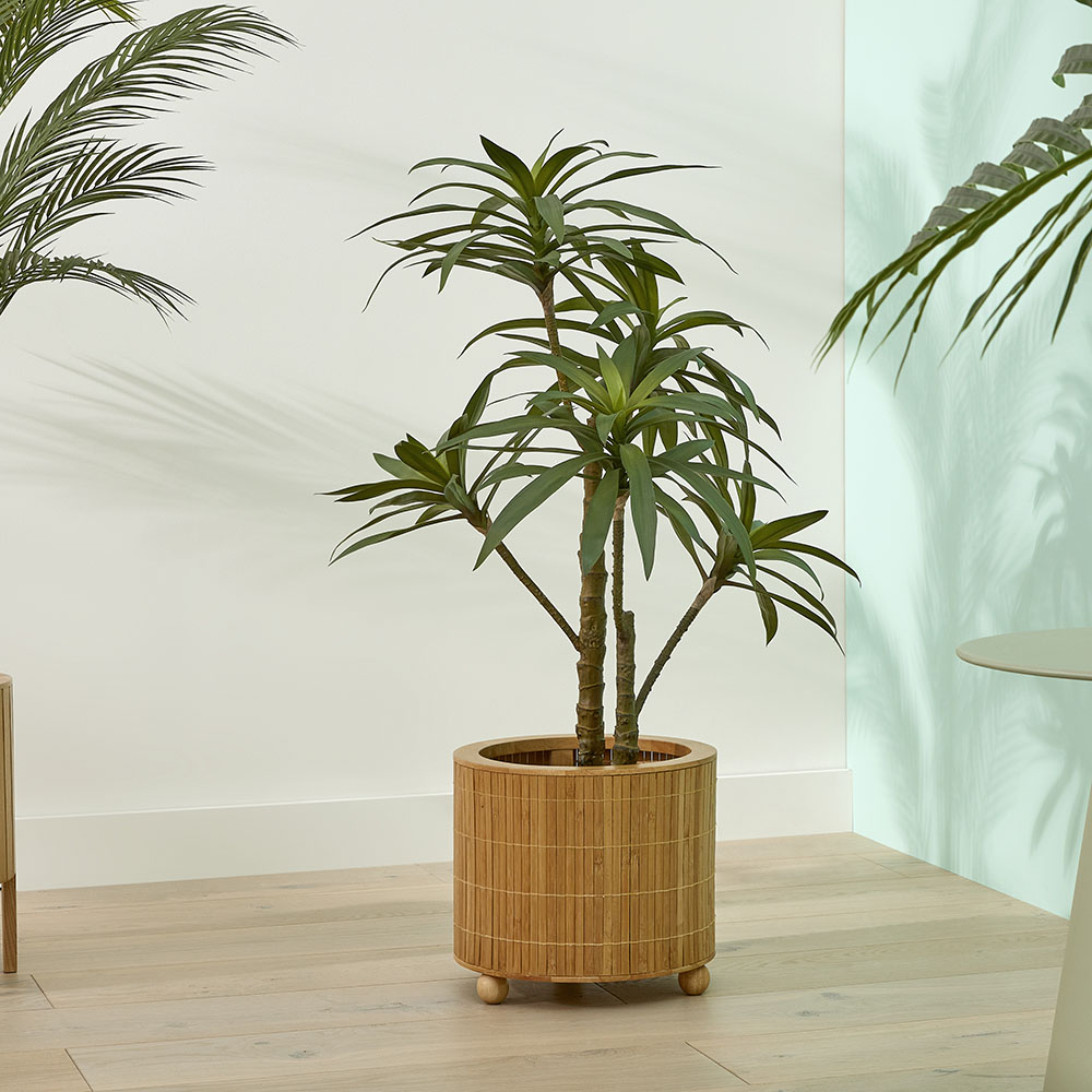 Wooden Natural Ball Pot | Adairs