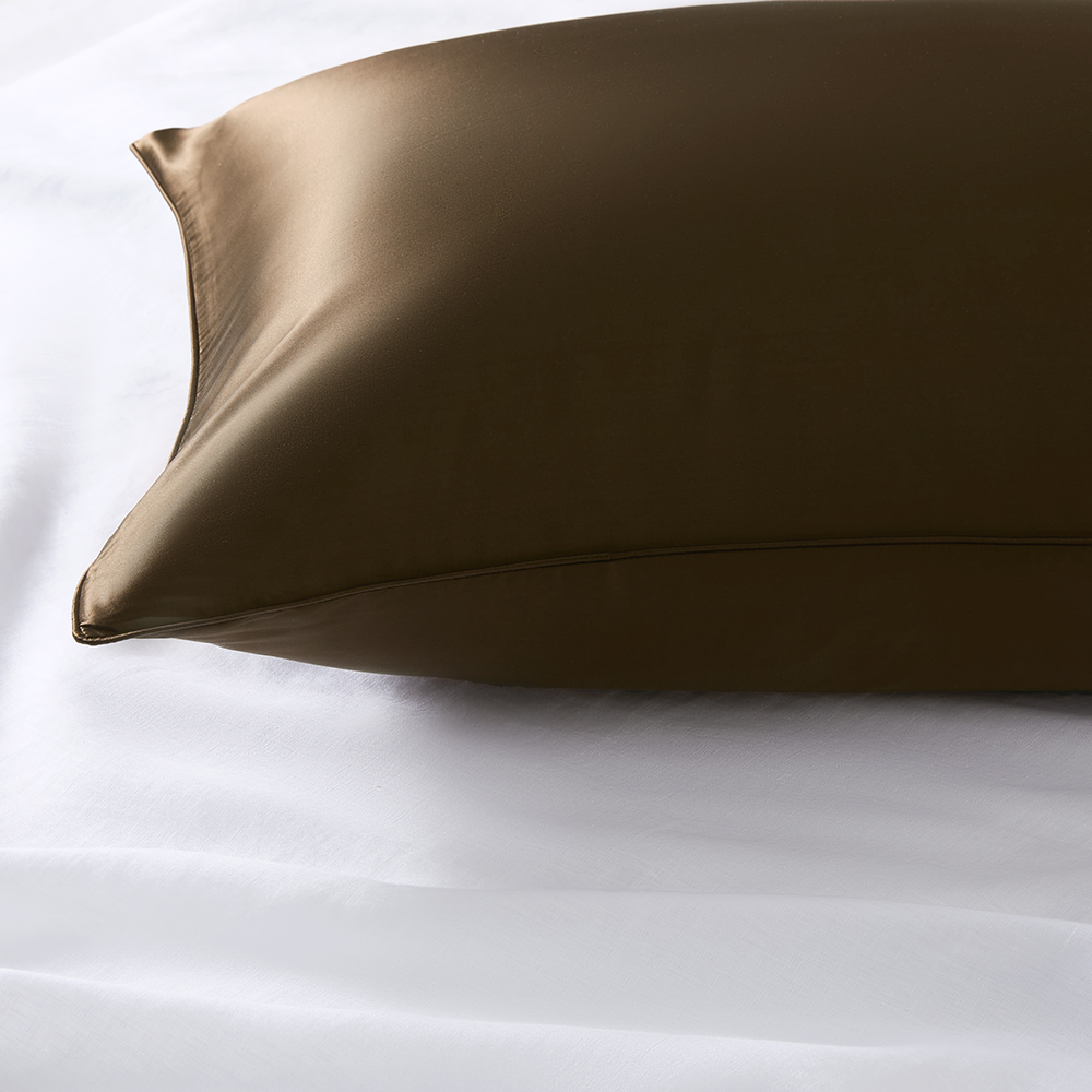 Pure Silk Chocolate Pillowcases | Adairs