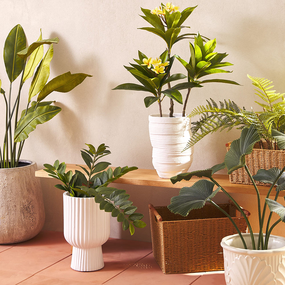 Apollo White Pot | Adairs