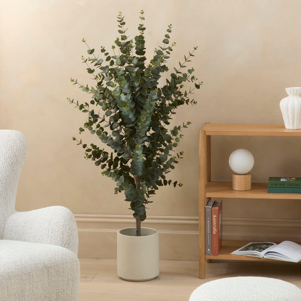 Potted Silver Green Eucalyptus 155cm | Adairs