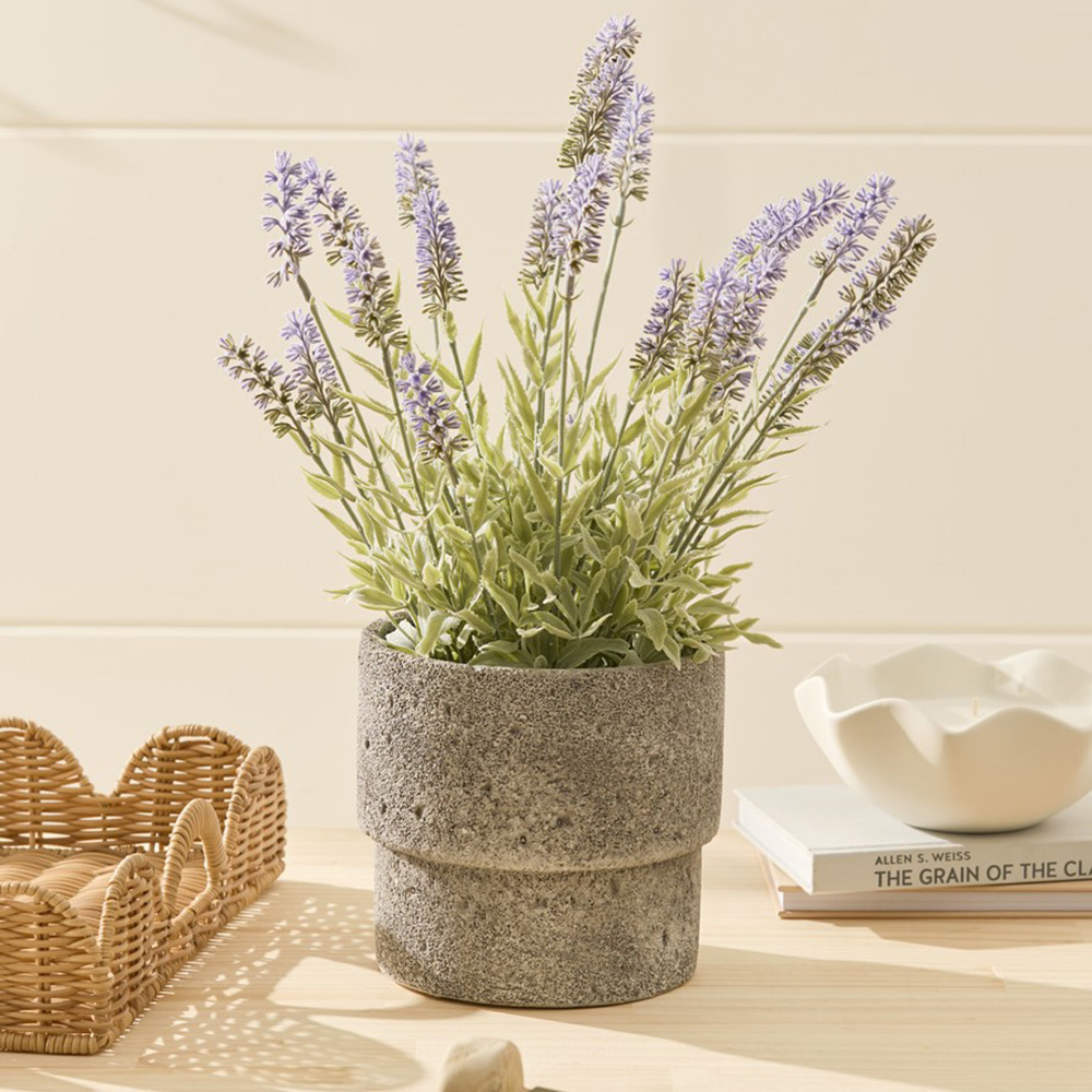 Green & Grey Potted Lavender | Adairs