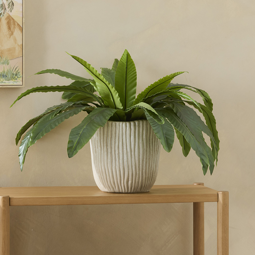 Dusk Off White Rib Pot | Adairs